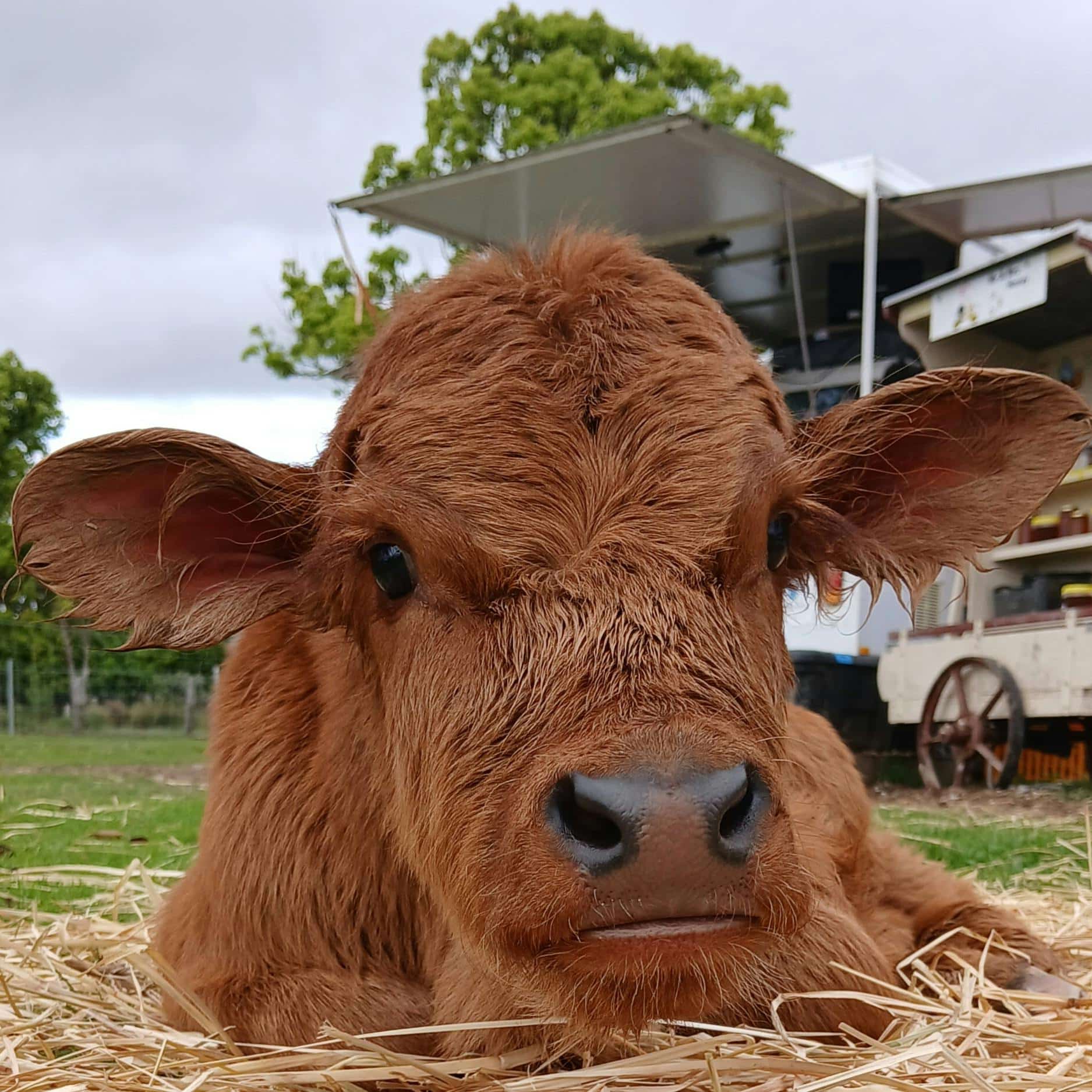 Macleay Valley Farm - Macleay Valley Coast